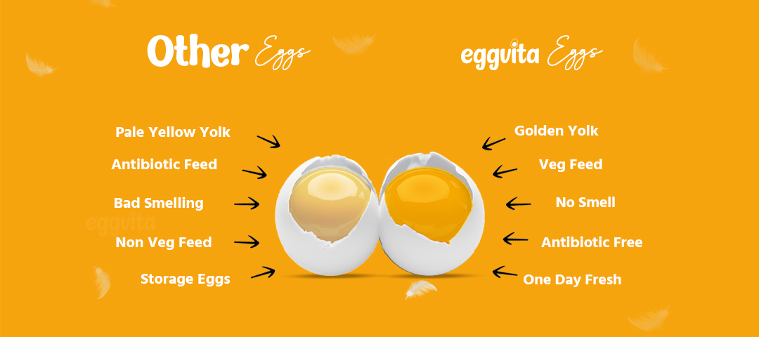 Eggvita